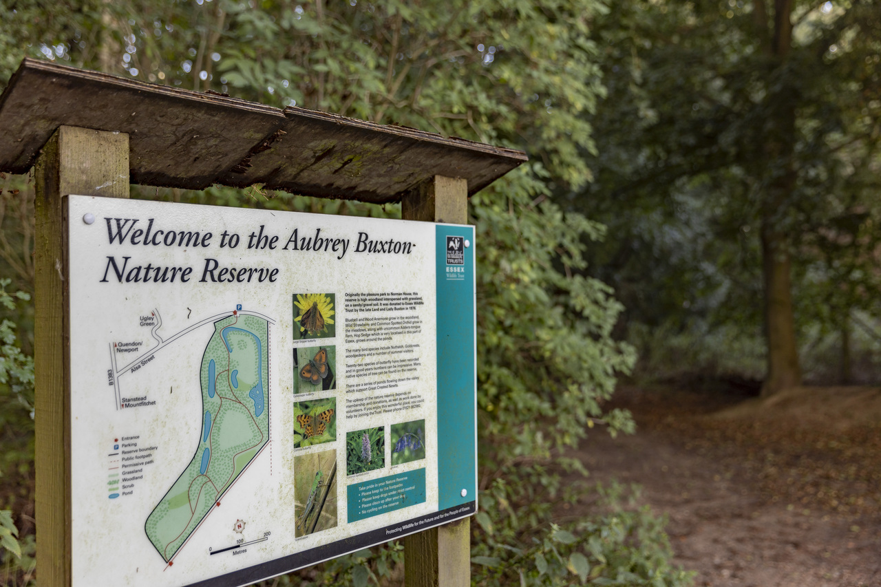 Elsenham Brook | New Homes For Sale in Bishop's Stortford | Bovis Homes