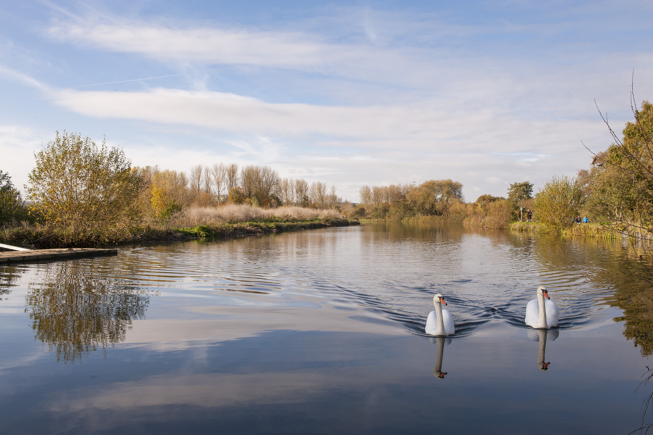 The Hedgerows | New Homes in Exeter for Sale | New Build Houses in ...