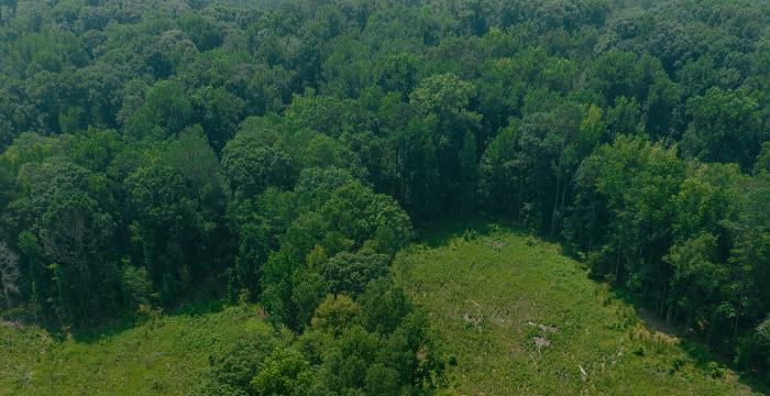 Sustainability - Georgia-Pacific | Cellulose