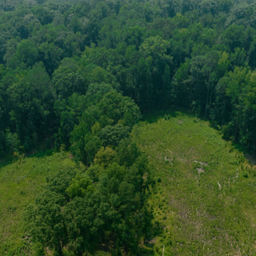 News & Insights - Georgia-Pacific | Cellulose