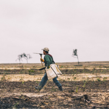 News & Insights - Georgia-Pacific | Cellulose