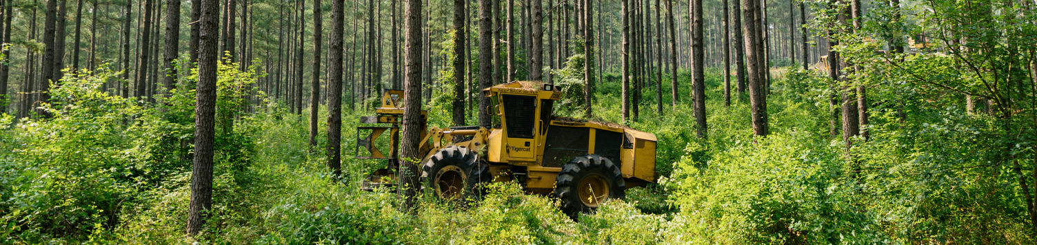 Sustainability - Georgia-Pacific | Cellulose