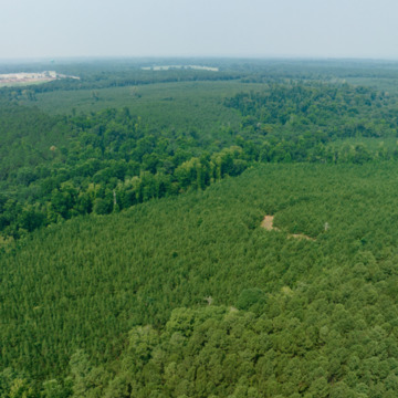 News & Insights - Georgia-Pacific | Cellulose