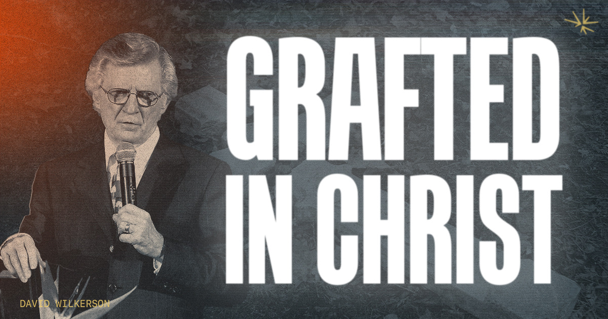 Grafted in Christ | worldchallenge.org