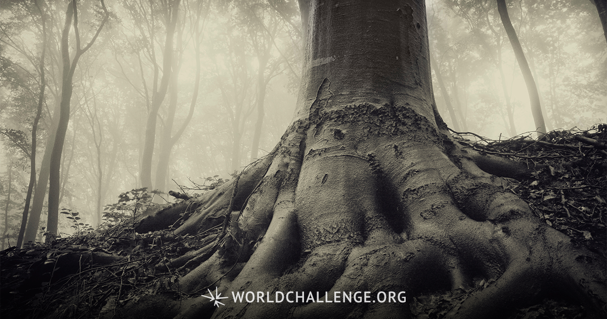 The Bitter Root of Suffering | worldchallenge.org