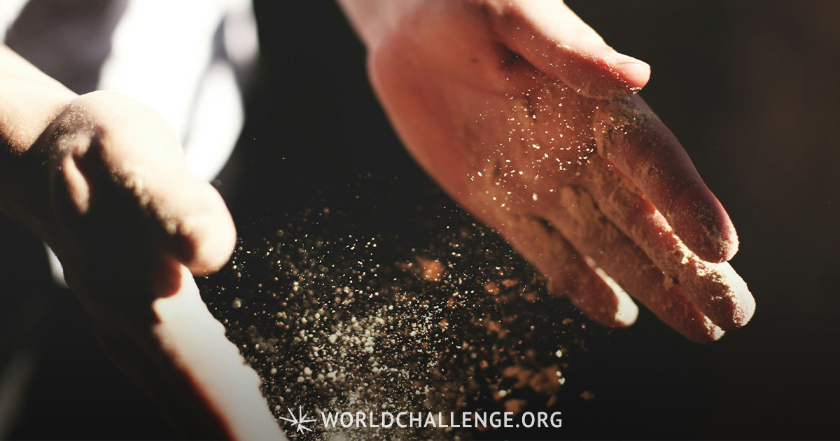 El Siervo Inútil | worldchallenge.org