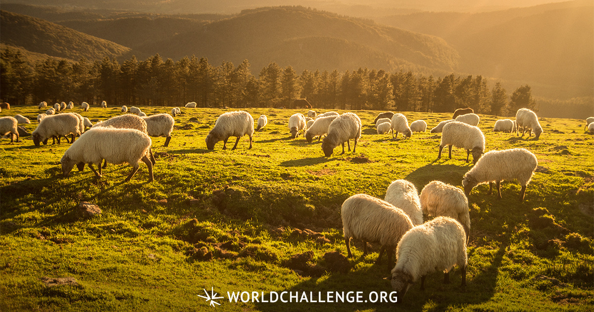 The Spirit Breaking Out | worldchallenge.org